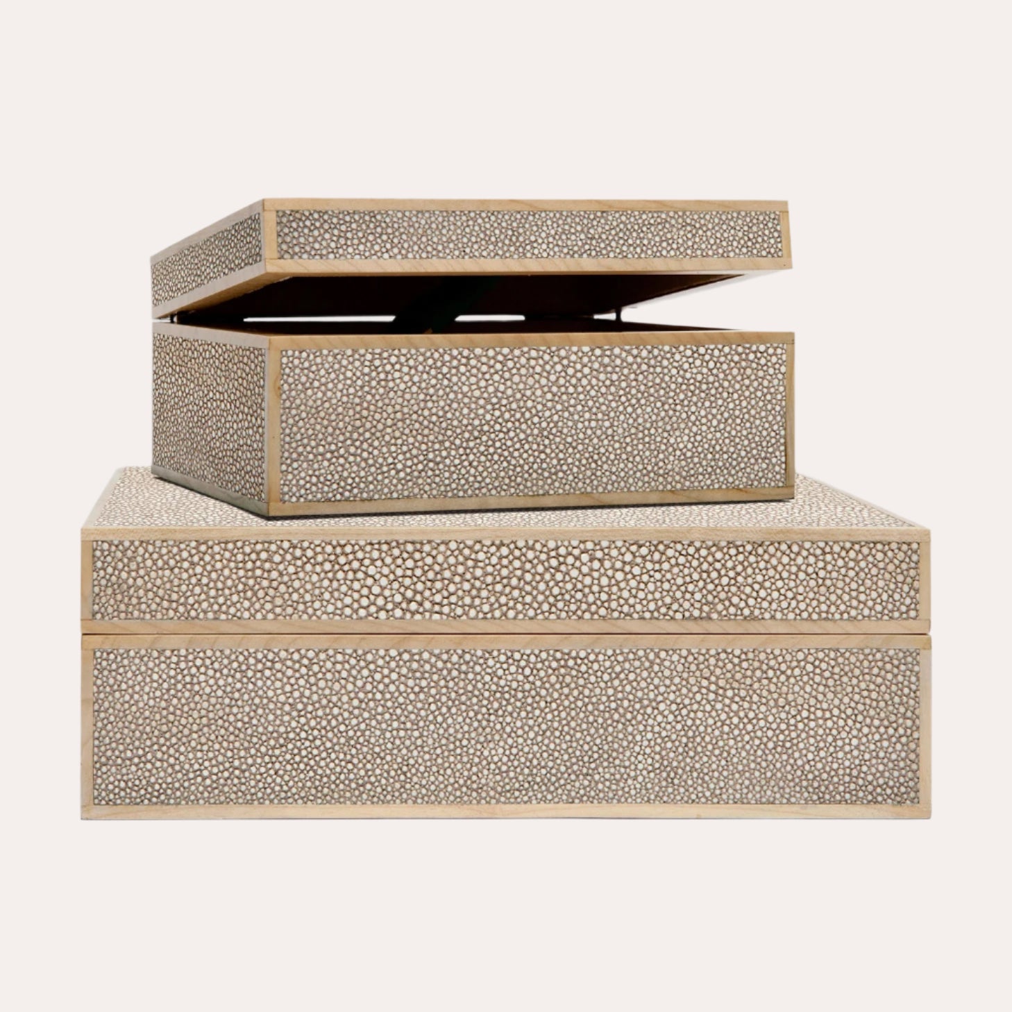 Wood Trimmed Shagreen Box – The French Mix